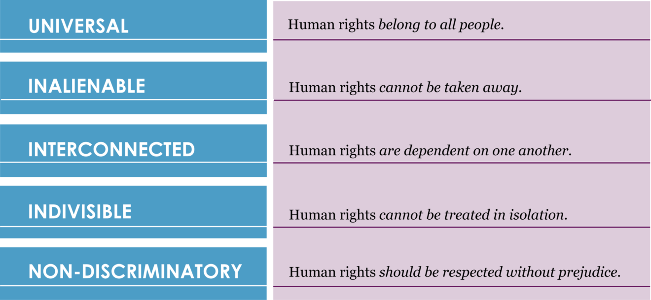 Human Rights and Protection Under the Law – Ivy Barrow
